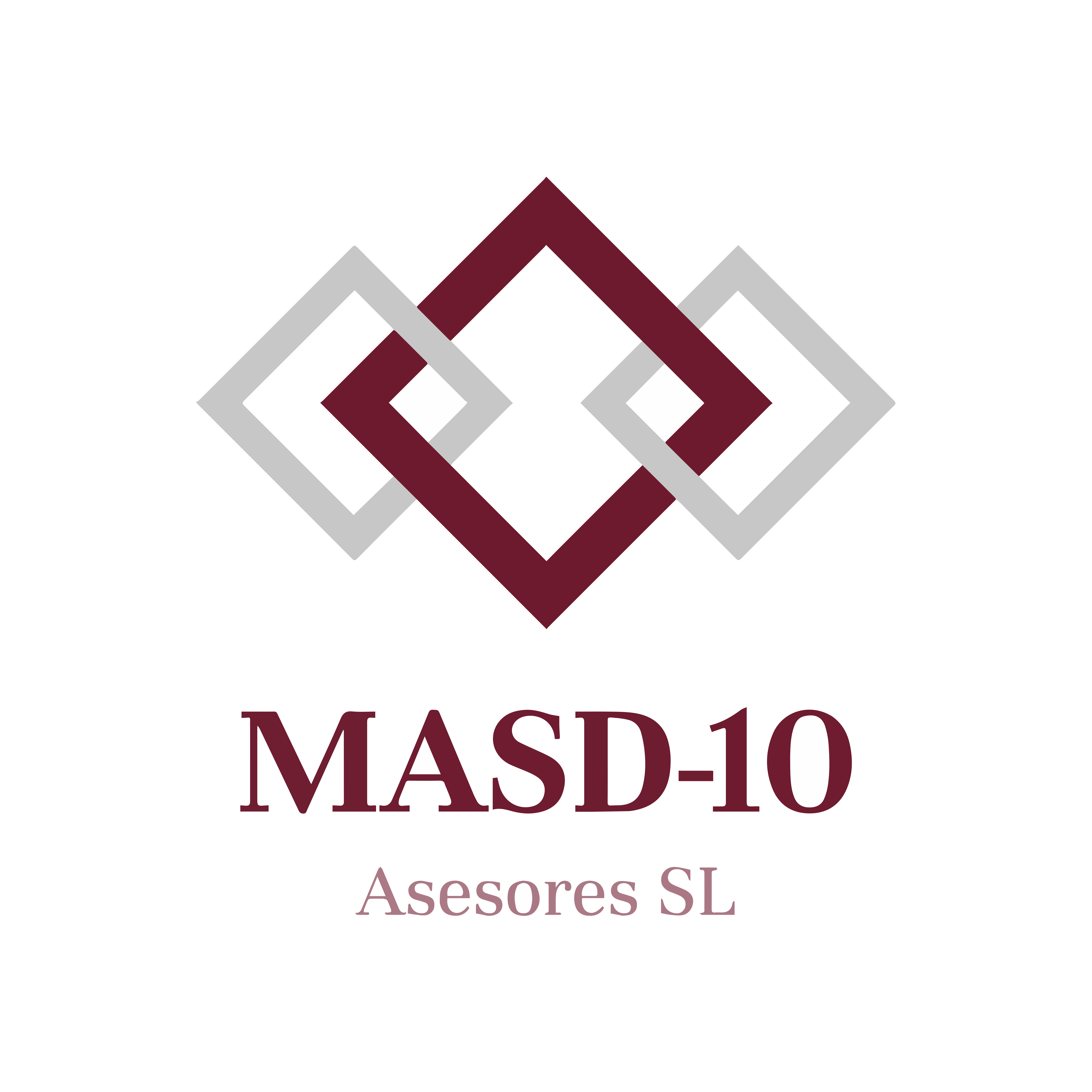 MASD-10 ASESORES - BILOOP